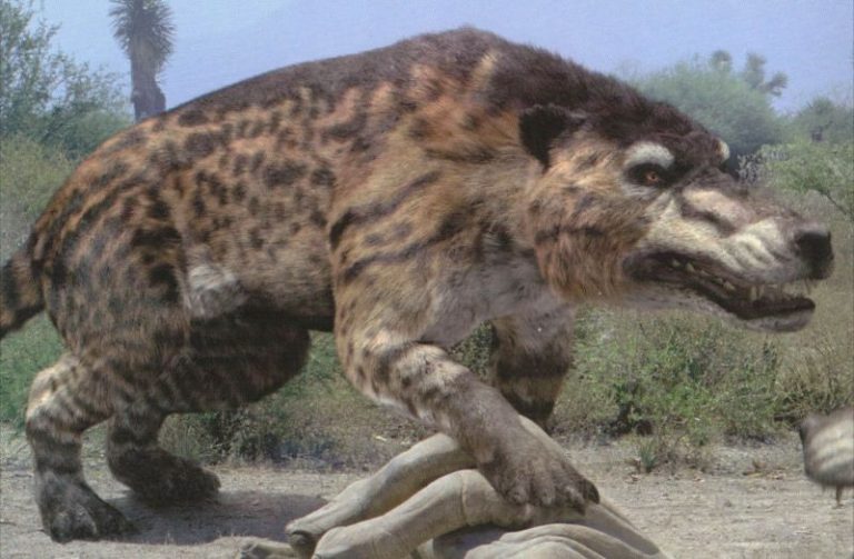 20 Dinosaurus Terbesar di Dunia yang Pernah Menguasai Bumi – Sijai.com